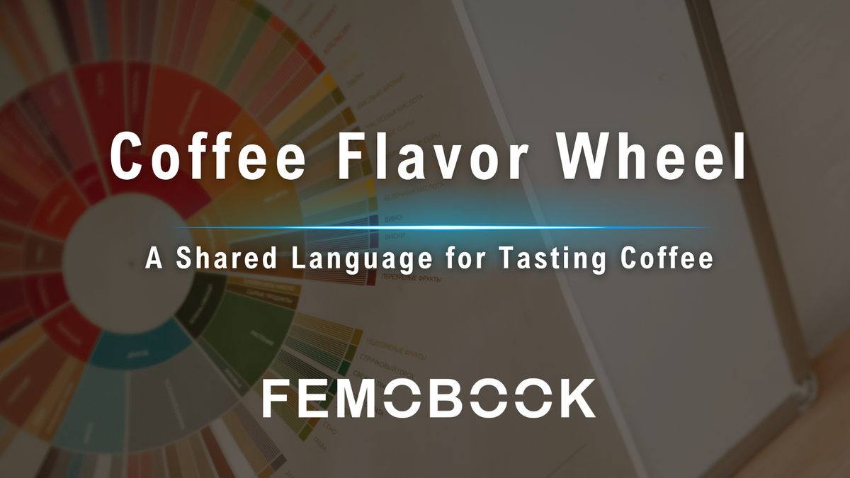 A Guide to Coffee Flavor Wheel – Femobook