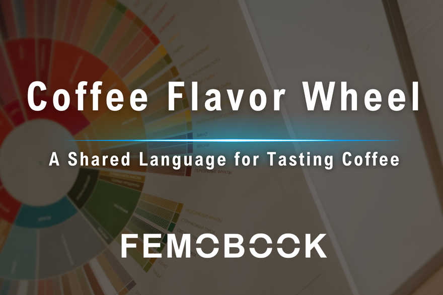 A Guide to 10 Popular Coffee Brewing Methods – Femobook
