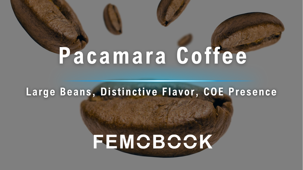 Pacamara Coffee: Flavor Profile, Origin & Growing Regions – Femobook