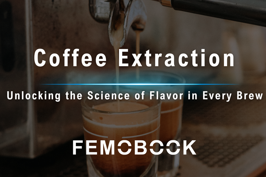 A Guide to 10 Popular Coffee Brewing Methods – Femobook